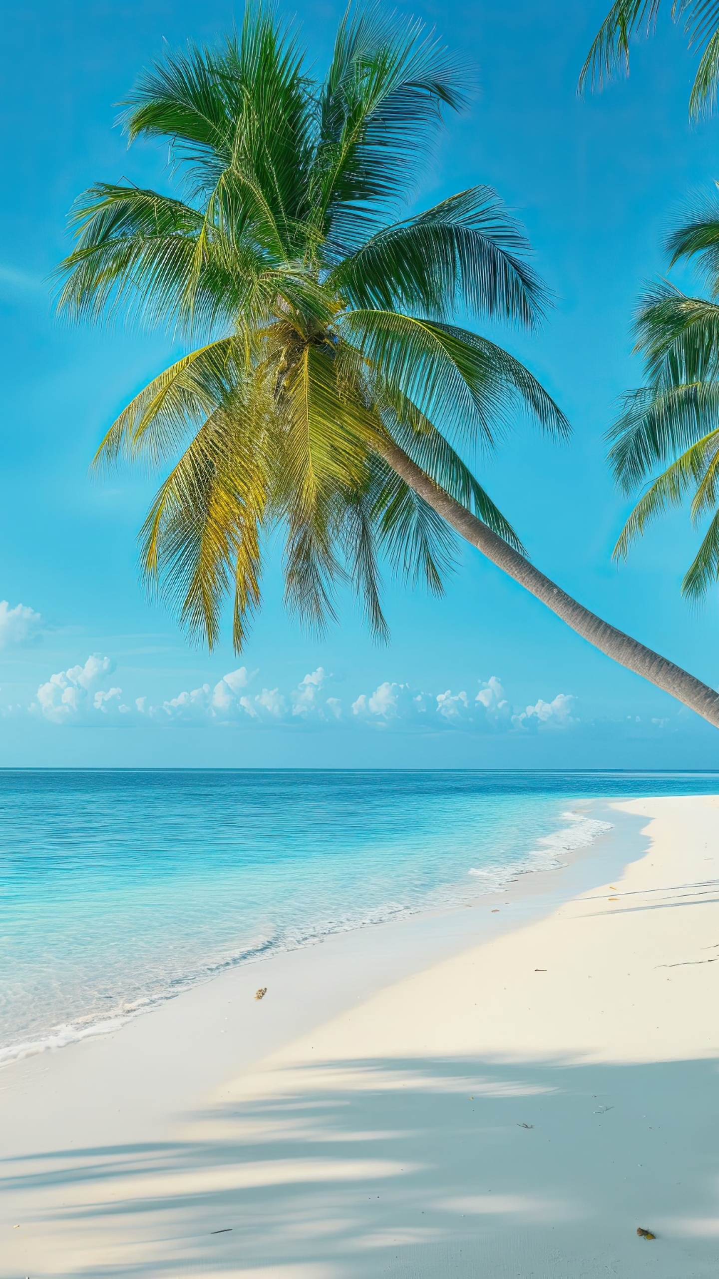 Ocean Beaches Desktop Wallpaper Wallpaper Spain 5k 4k Wallpaper 