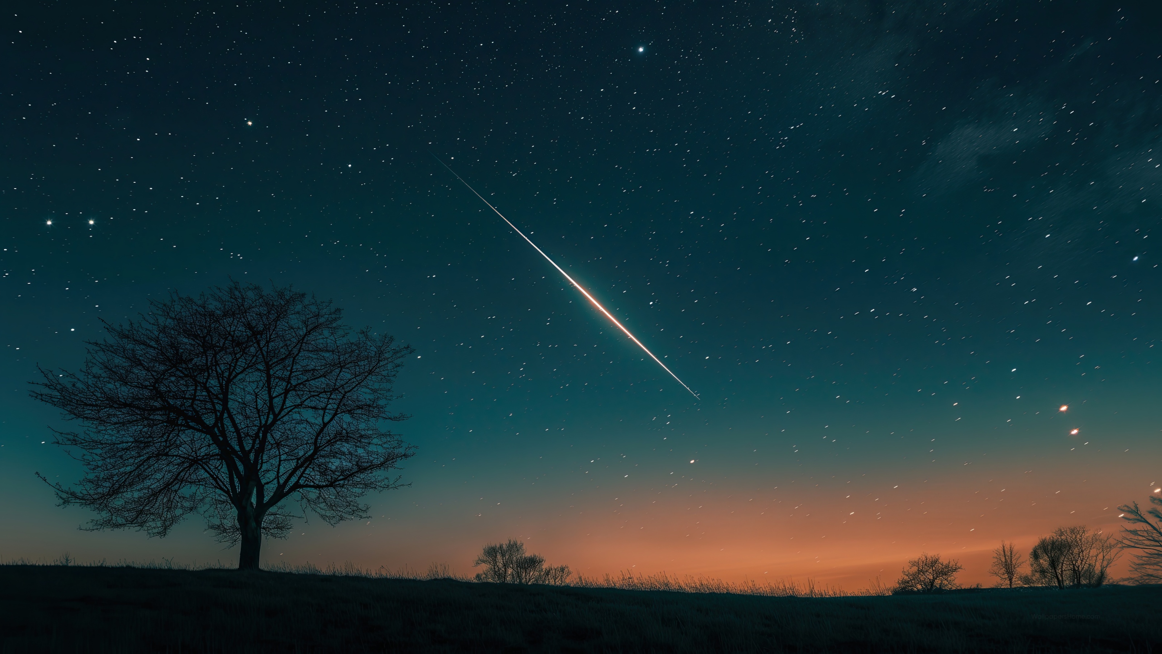 Shooting star Wallpaper (Cosmic, Astronomy) #26319